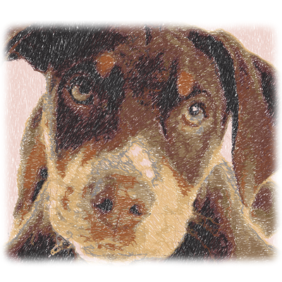 AG Embellisher - Active Graphics